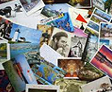 Awareness and Culture - PPLI